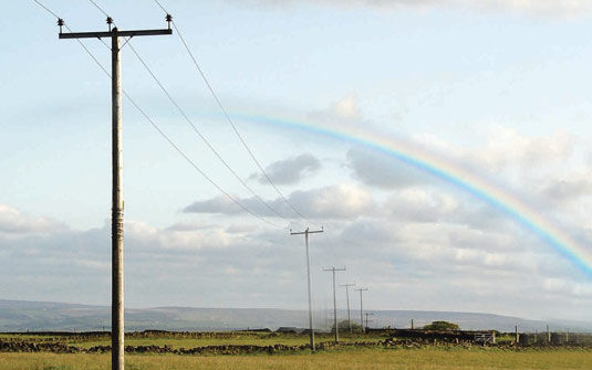 Home - Thomasson Company