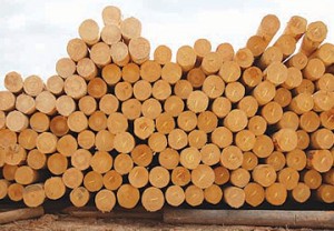 Industry leading stocking programs, consignment programs, and inventory ...